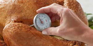 How to take a turkey's temperature